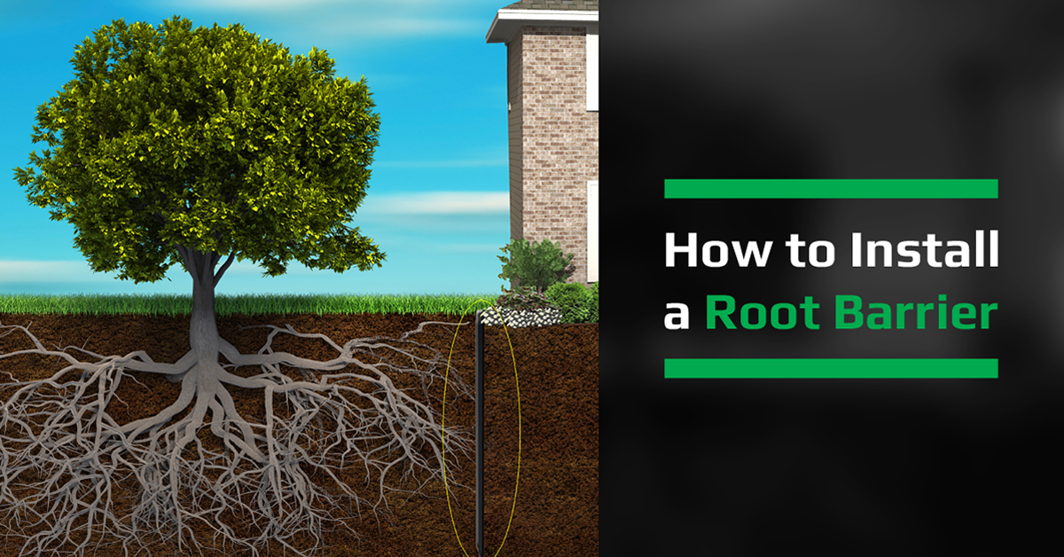 ROOT BARRIERS Green Industry Tree Service Removal Trimming 